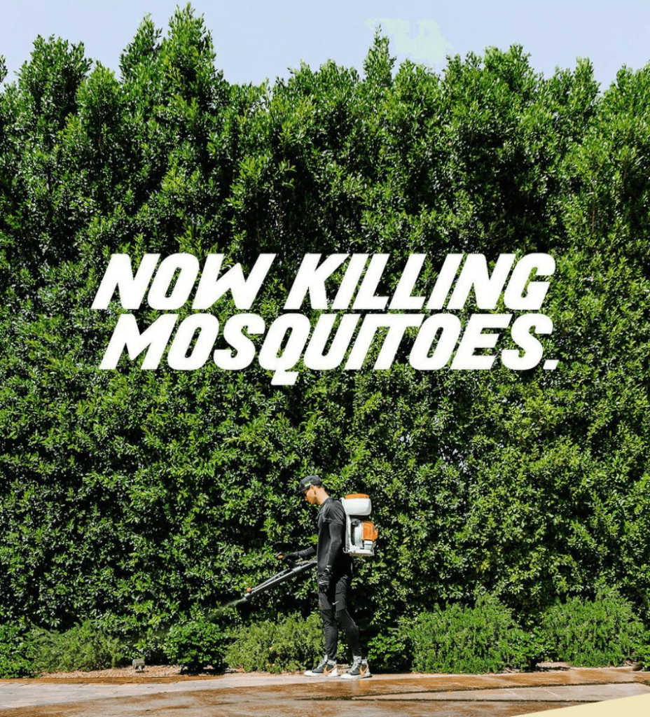 Phoenix Mosquito Control Experts Services | Green Mango