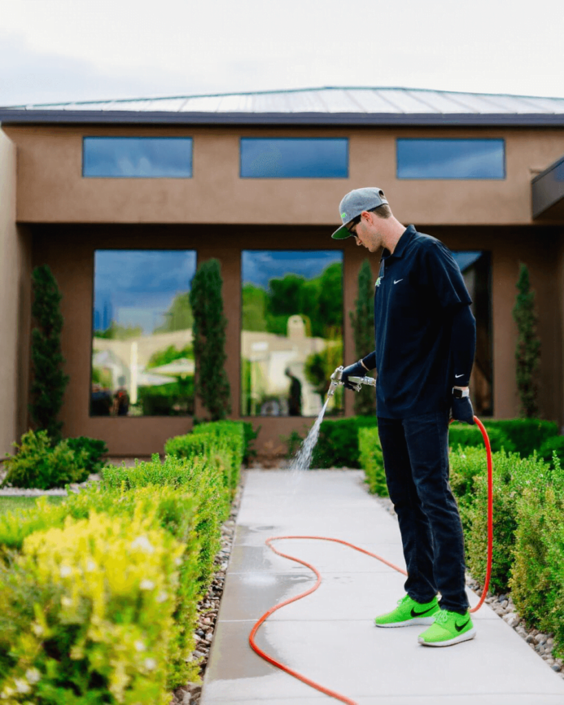 Expert Roach Control & Extermination in Phoenix | Green Mango