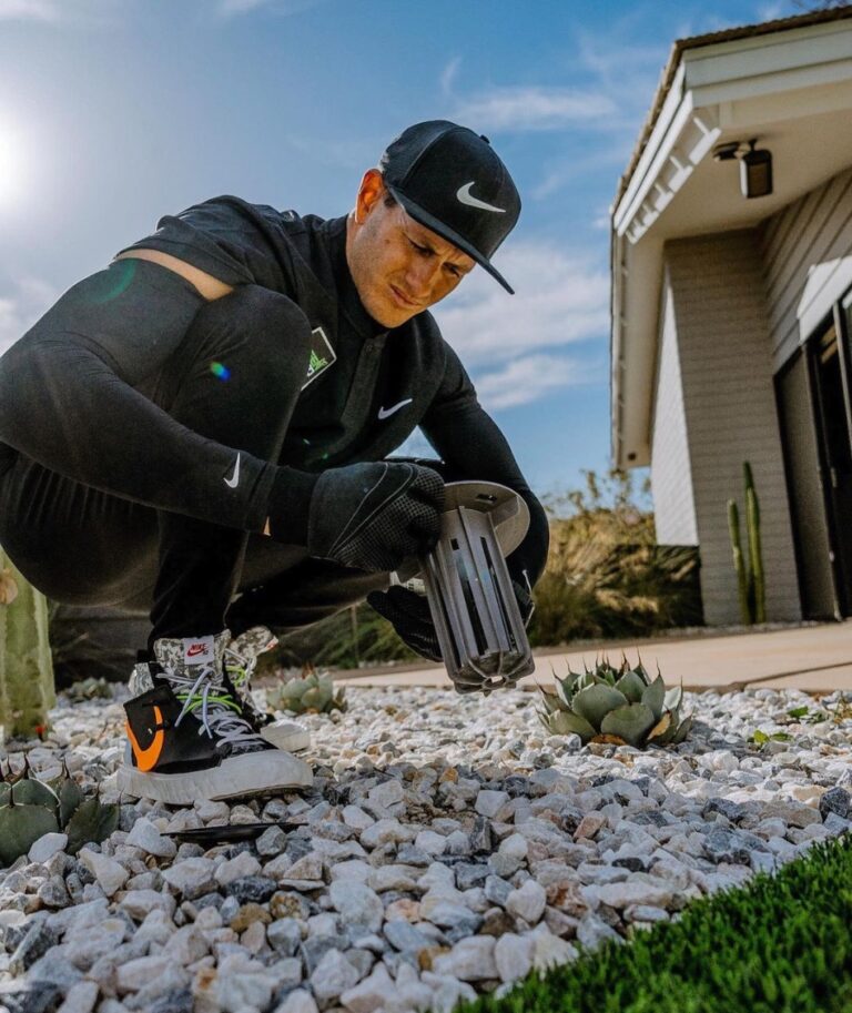 Expert Rodent Control & Extermination in Phoenix | Green Mango