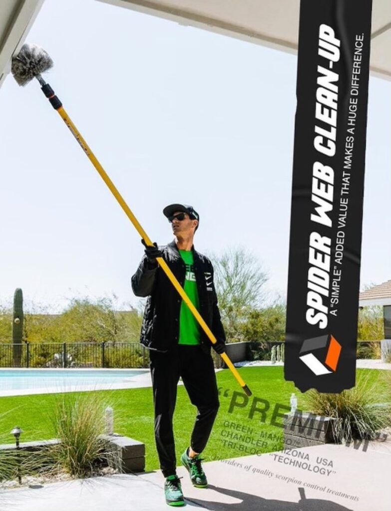 Expert Spider Control & Extermination in Phoenix | Green Mango