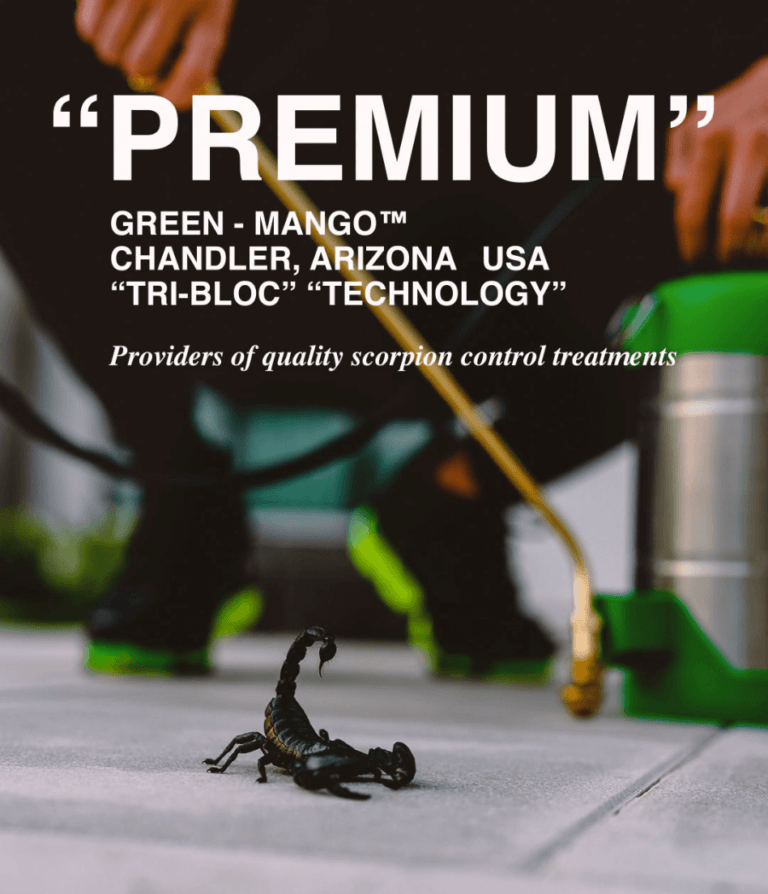 Professional Scorpion Control in Phoenix, AZ | Green Mango