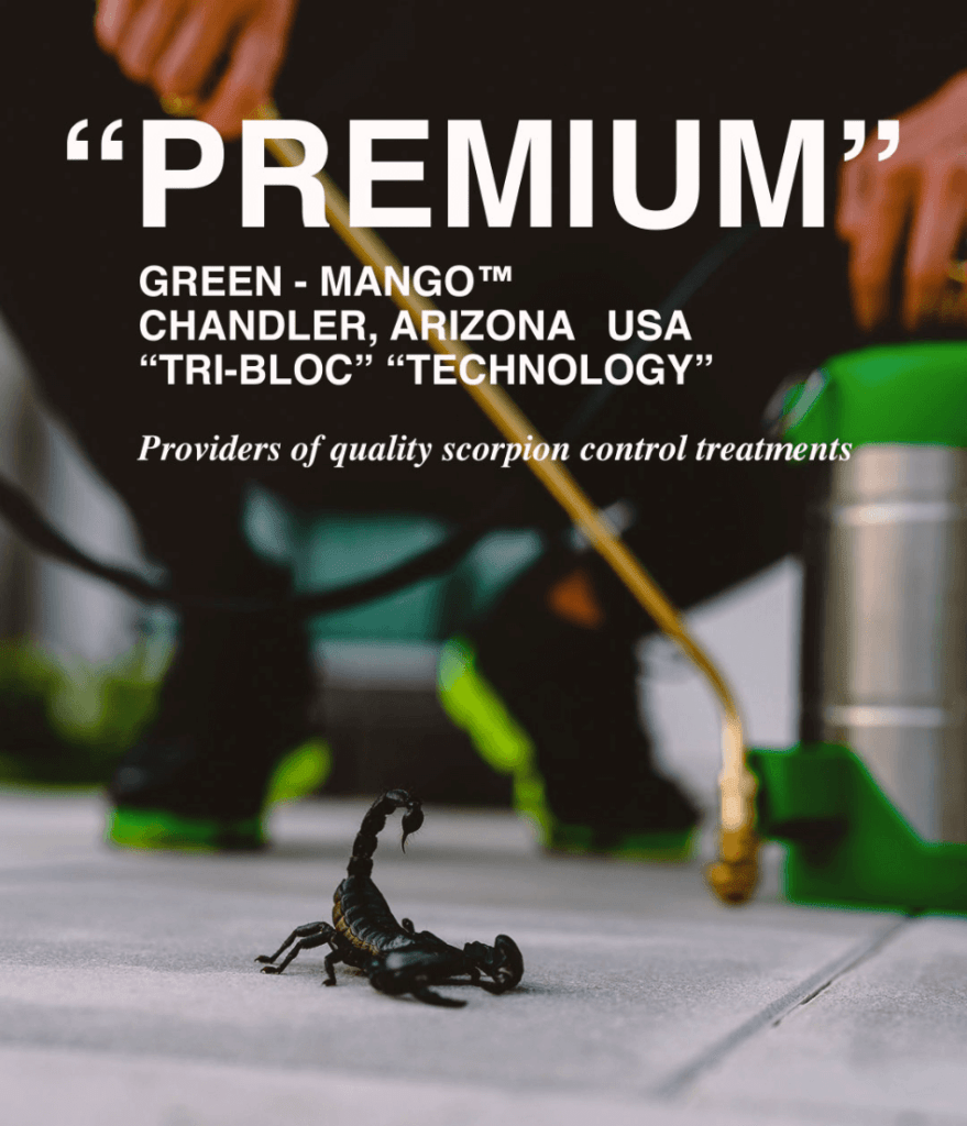 Professional Scorpion Control in Phoenix, AZ | Green Mango