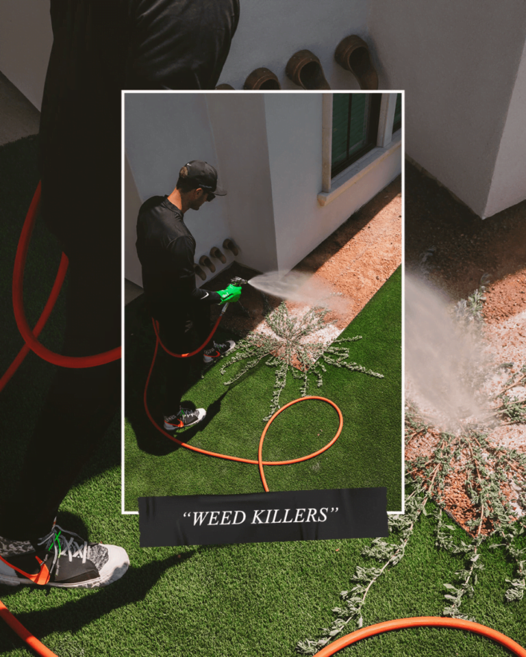 Phoenix's Top Choice for Weed Control Services | Green Mango