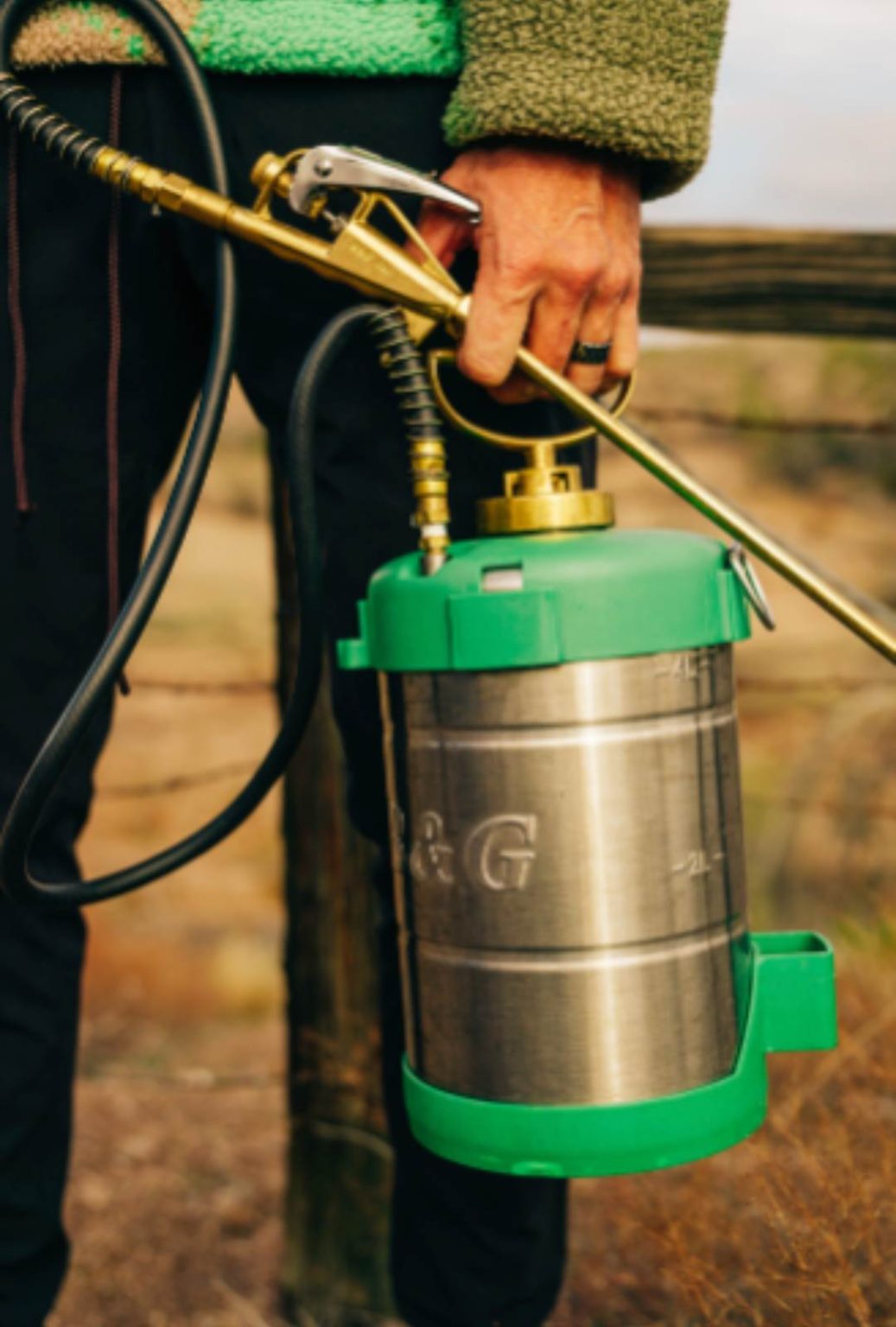 Safe & Eco-Friendly Wasp Removal in Phoenix | Green Mango